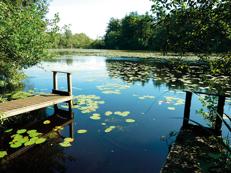 Review: Château du Launay, Brittany