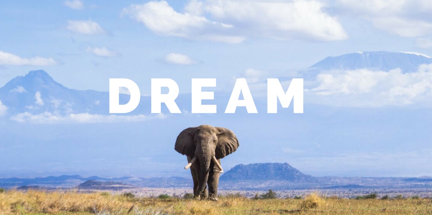 Elephant Week 2018 in Hong Kong - Survival of the Elephants