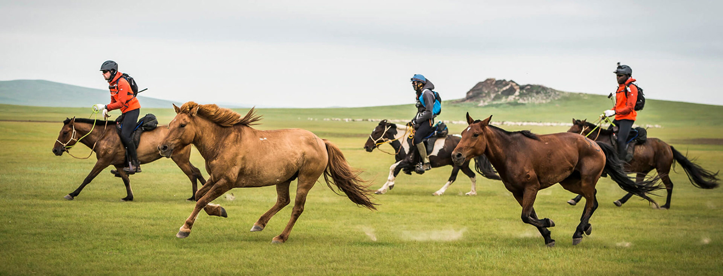 LUXUO - Page 39 of 903 - The Luxury Lifestyle Portal