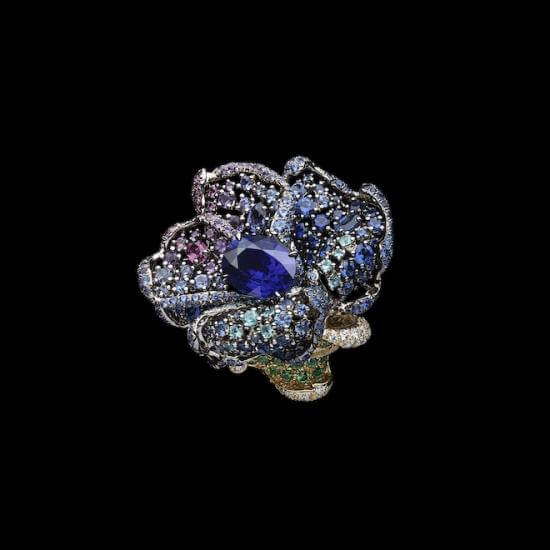 Dior Rose Explores The Different Facades of the Queen of Flowers