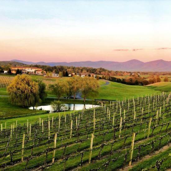 LUXUO Recommends: 5 Enchanting Destinations To Visit For Wine Lovers