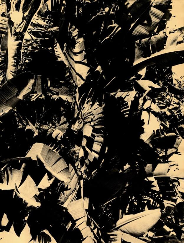 Bruno V. Roels Exhibition In Saint Laurent Rive Droite