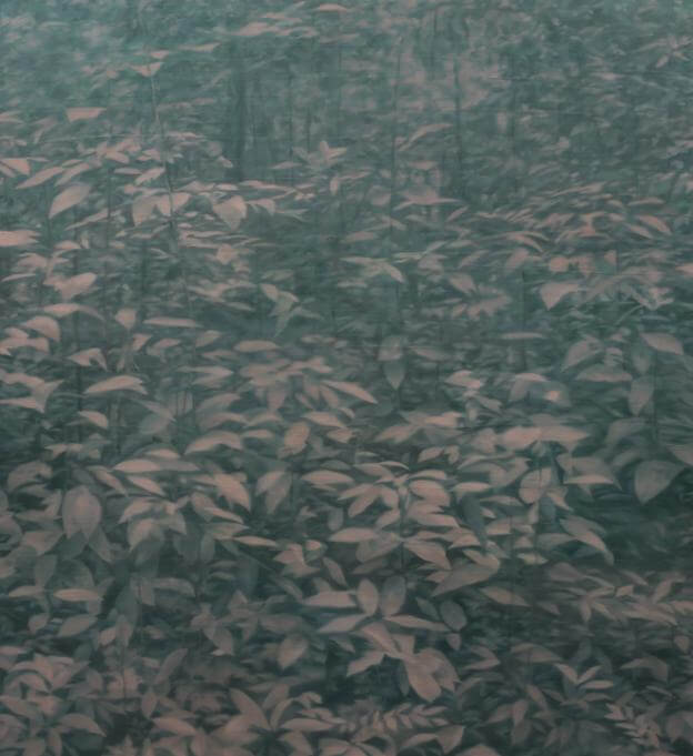 Malaysian Artist Chok Yue Zan Returns with “Throughout” Art Exhibition