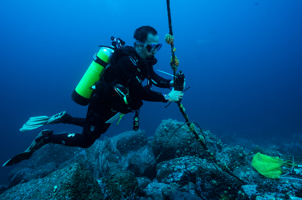 Rolex Mission Blue Galápagos Expedition: A Commitment to Protect our Ocean