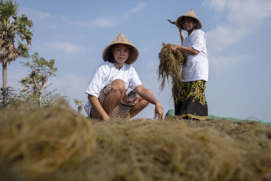 Uluu Co-Founders & CEOs Dr Julia Reisser and Michael Kingsbury Speak on ...