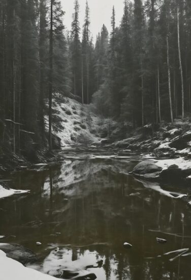 For Better or Worse: Here Is How AI Artist Botto is Reshaping the Art ...